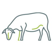 La filière - France Brebis Laitière