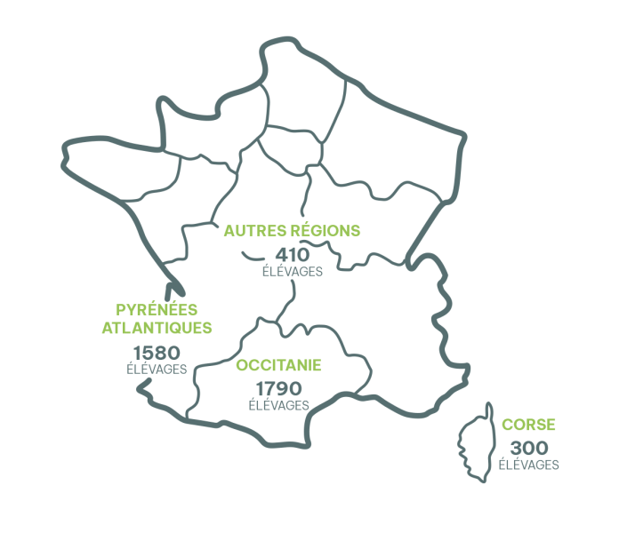 La filière - France Brebis Laitière